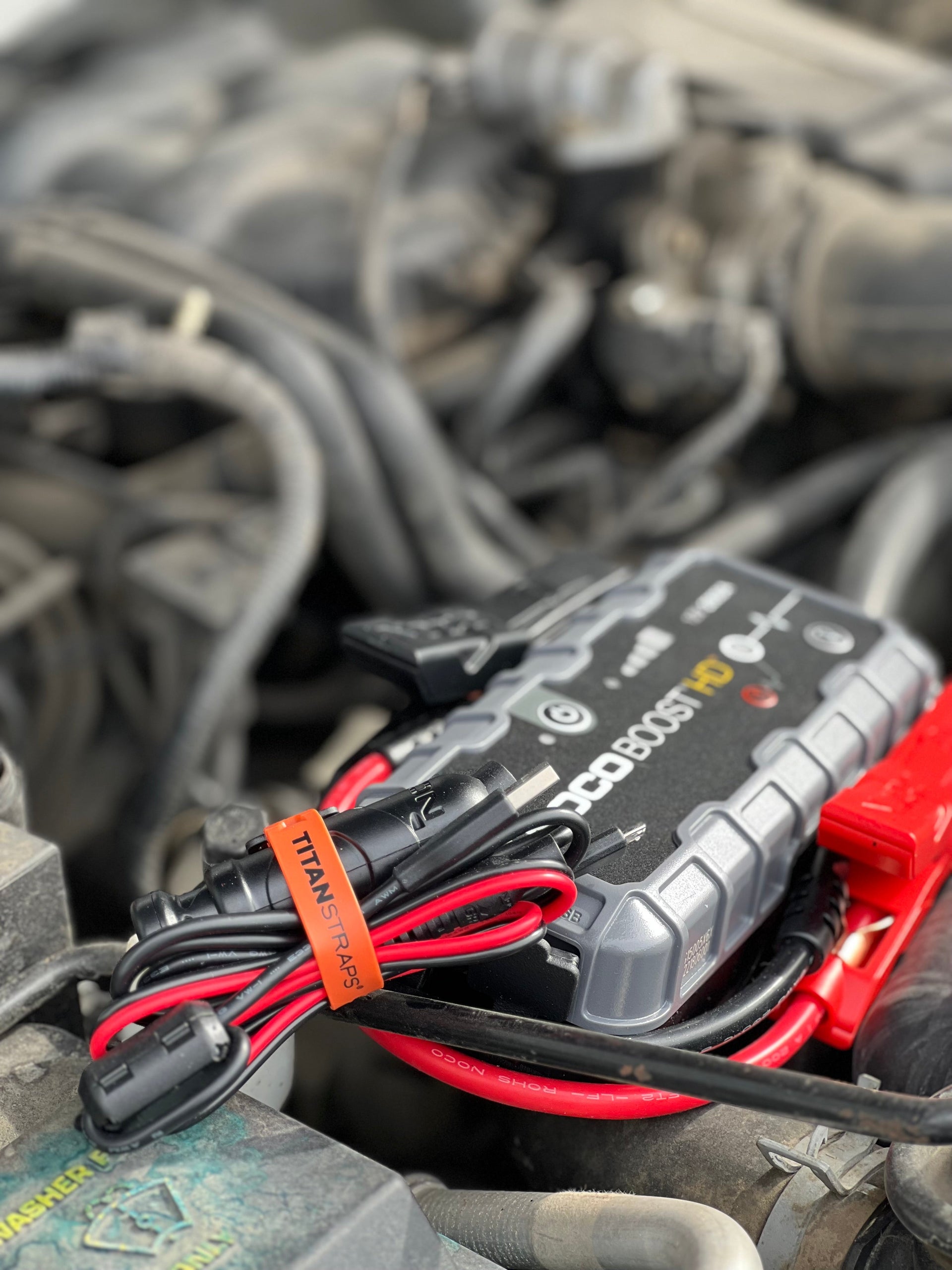 Mini Straps - TitanStraps